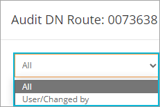 Audit a Directory Number Route